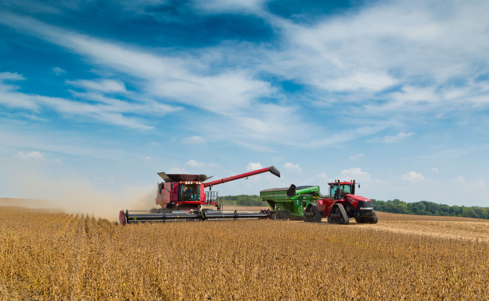 What is Primitive Subsistence Farming